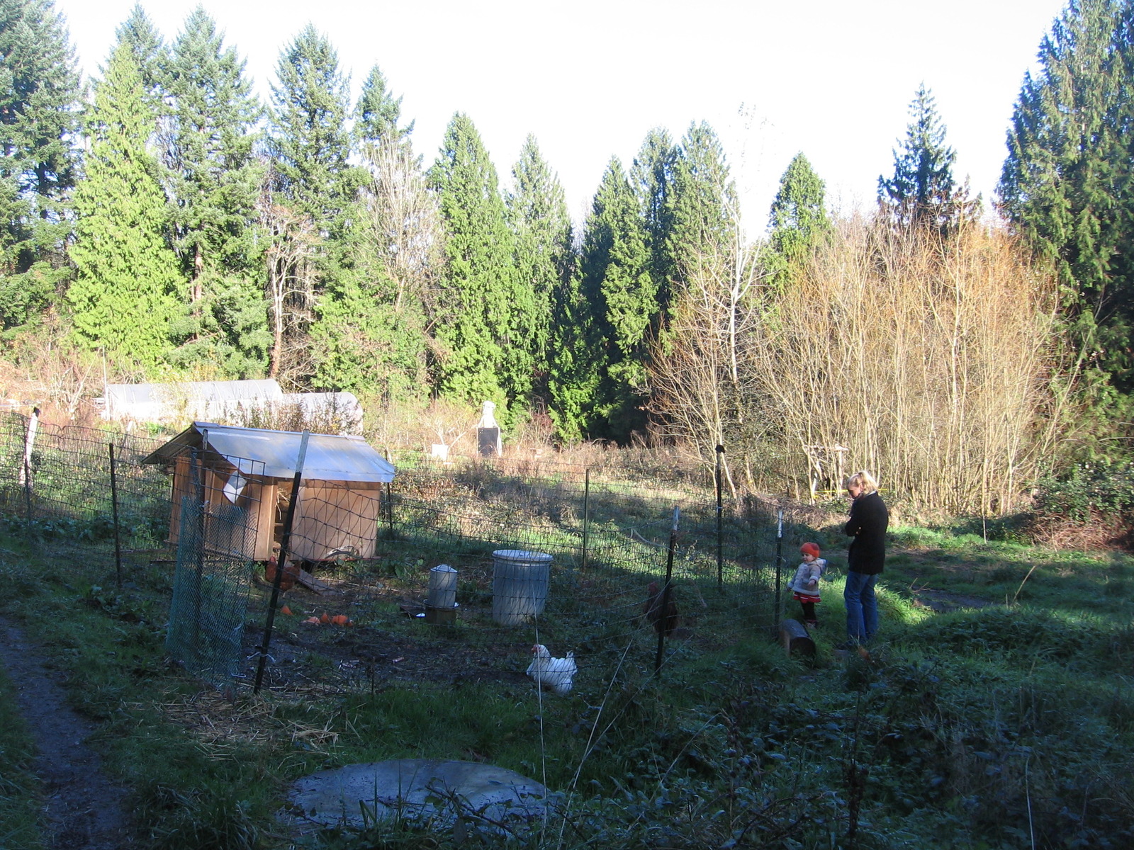 IMG_1052.JPG | Tryon Life Community Farm
