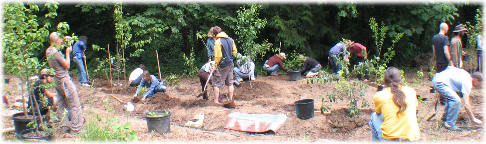 Making a food forest (banner, full) | Tryon Life Community Farm
